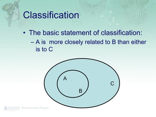 Systematics | PPT