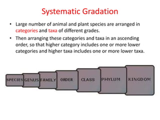 Systematics | PPTX