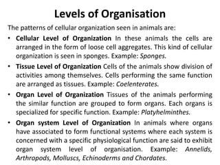Systematics | PPTX