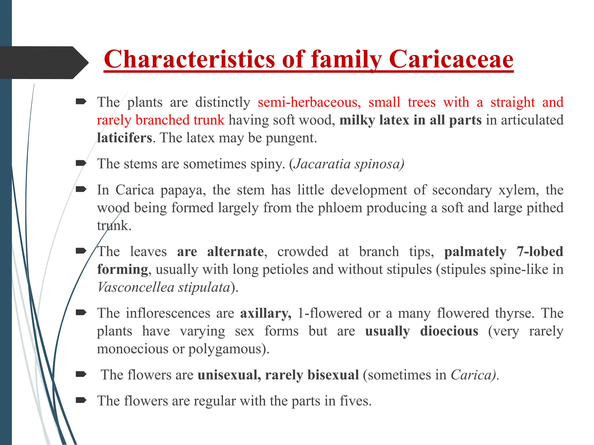 SYSTEMATICS OF CARICACEAE.pptx