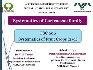 SYSTEMATICS OF CARICACEAE.pptx