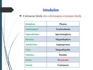 SYSTEMATICS OF CARICACEAE.pptx