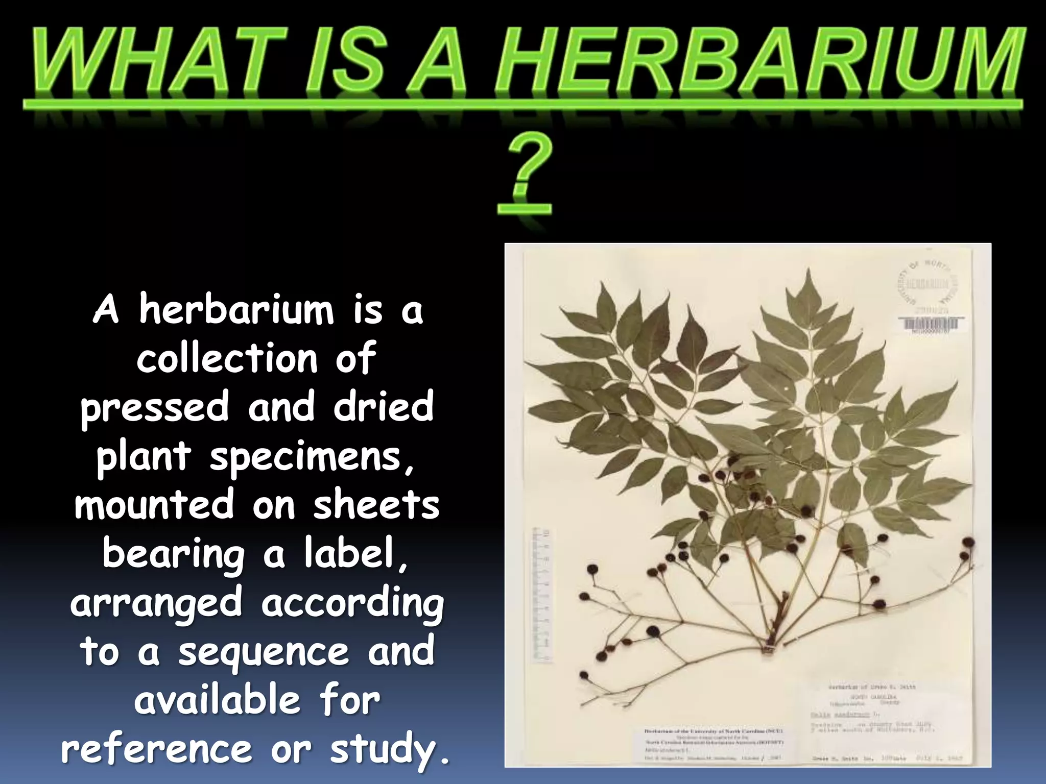 Herbarium | PPTX