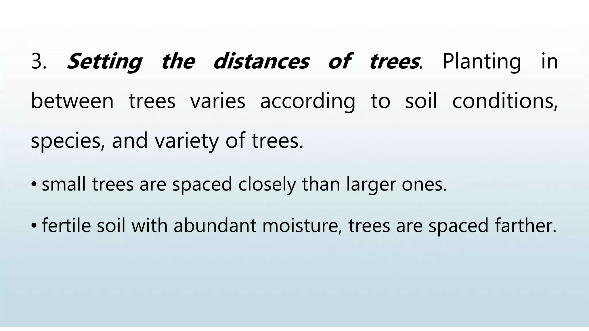 Systematic Way of Planting and Propagating Trees | PPTX