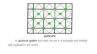 Systematic Way of Planting and Propagating Trees | PPTX