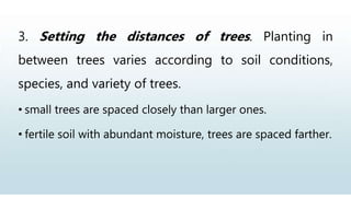 Systematic Way of Planting and Propagating Trees | PPTX