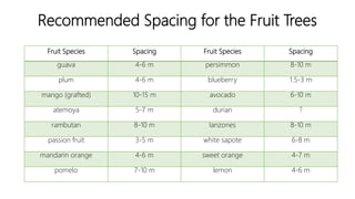 Systematic Way of Planting and Propagating Trees | PPTX