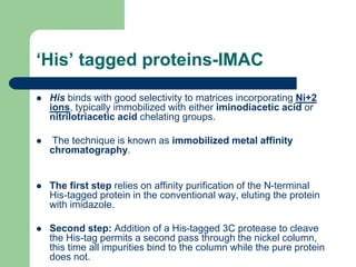 System Biology in downstream processing tech | PPT | Biotech and ...