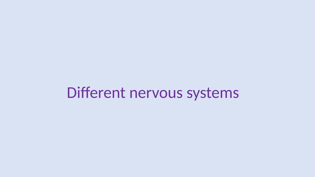 Module 2 - 5. Types of Nervous system.pptx