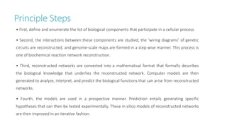 System Biology and Pathway Network.pptx