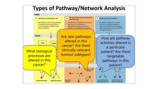 System Biology and Pathway Network.pptx