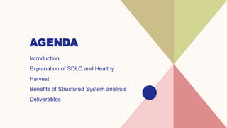 System Development Life Cycle.pptx