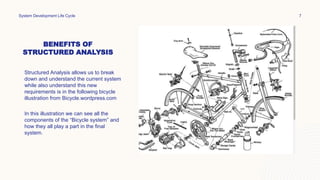 System Development Life Cycle.pptx