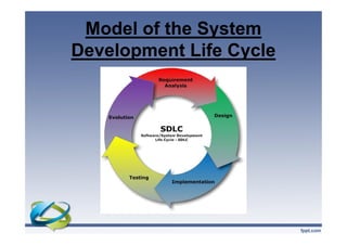 System Development Life Cycle & Implementation of MIS | PDF