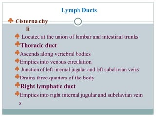 Systemic Anatomy_13_ Chinese University_LymphaticSystem.ppt