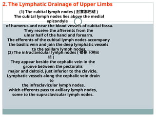 Systemic Anatomy_13_ Chinese University_LymphaticSystem.ppt
