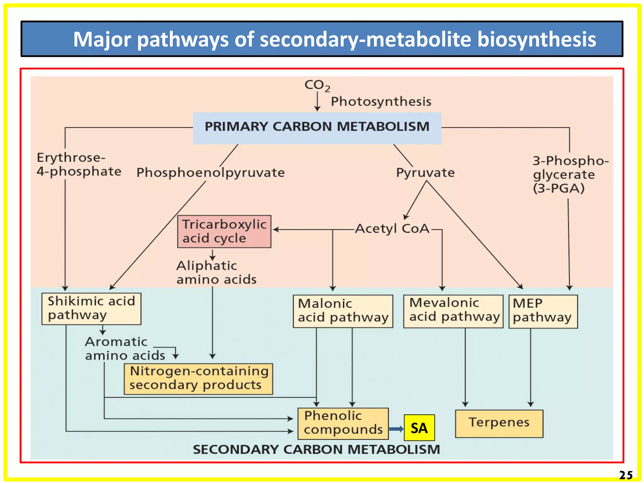 Systemic Acquired Resistance (SAR) and it’s Significance in Plant ...
