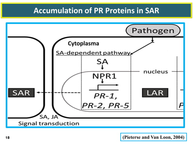 Systemic Acquired Resistance (SAR) and it’s Significance in Plant ...