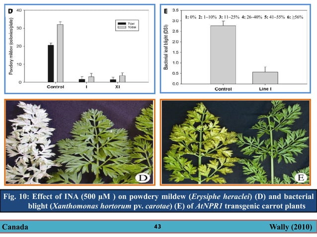 Systemic Acquired Resistance (SAR) and it’s Significance in Plant ...