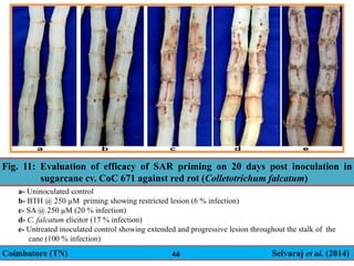 Systemic Acquired Resistance (SAR) and it’s Significance in Plant ...