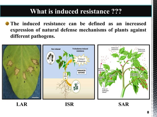 Systemic Acquired Resistance (SAR) and it’s Significance in Plant ...