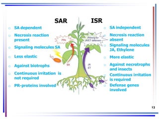 Systemic Acquired Resistance (SAR) and it’s Significance in Plant ...