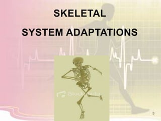 Systemic adaptations to training | PPTX