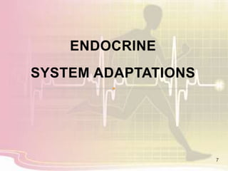 Systemic adaptations to training | PPTX