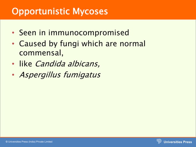 systemic and opp fungal inf.pptx