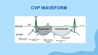 systemic and pulmonary circulation.pptx