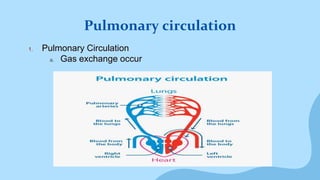 systemic and pulmonary circulation.pptx