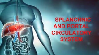 systemic and pulmonary circulation.pptx
