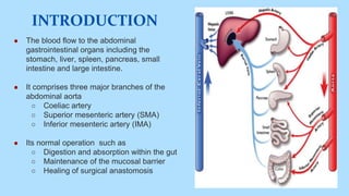 systemic and pulmonary circulation.pptx