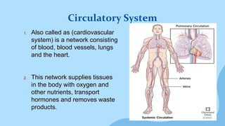 systemic and pulmonary circulation.pptx