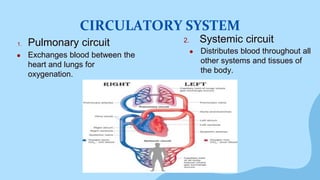 systemic and pulmonary circulation.pptx