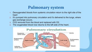 systemic and pulmonary circulation.pptx