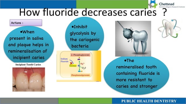 Systemic and topical l fluoride s.pdf