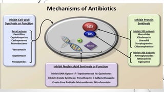 Systemic antibiotics in endodontics | PPTX