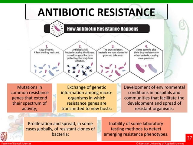 Systemic antibiotics in periodontal therapy | PPTX | Dental Health ...