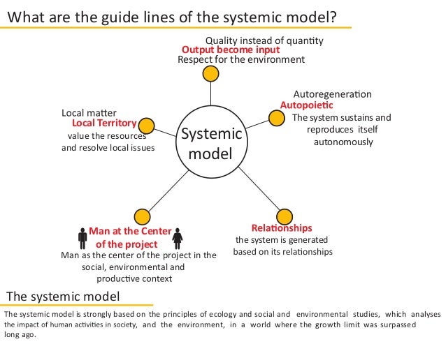 Systemic design explanation and personal work
