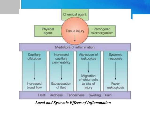 SYSTEMIC EFFECTS OF ACUTE & CHRONIC INFLAMMATION.pptx | Blood Disorders ...