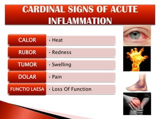 Systemic effects of acute inflammation and granuloma | PPTX