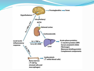 Systemic effects of inflammation.pptx