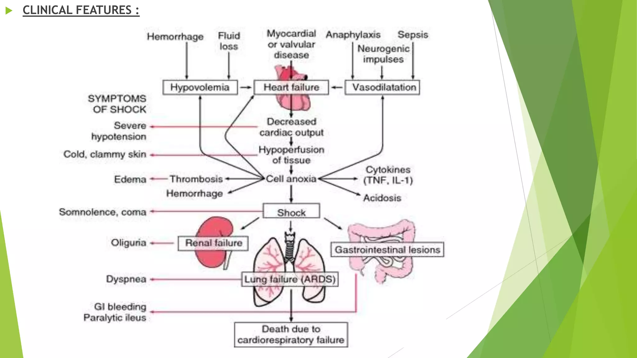 Systemic effects of injury | PPT