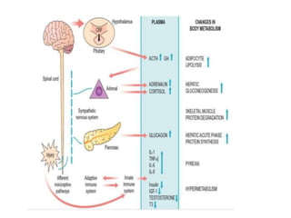 Systemic effects of injury | PPTX