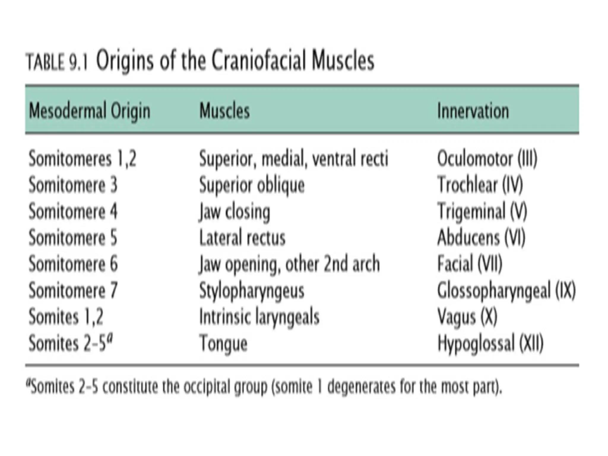 systemic embryology.pptx by Abdullahi Muktar | PPTX