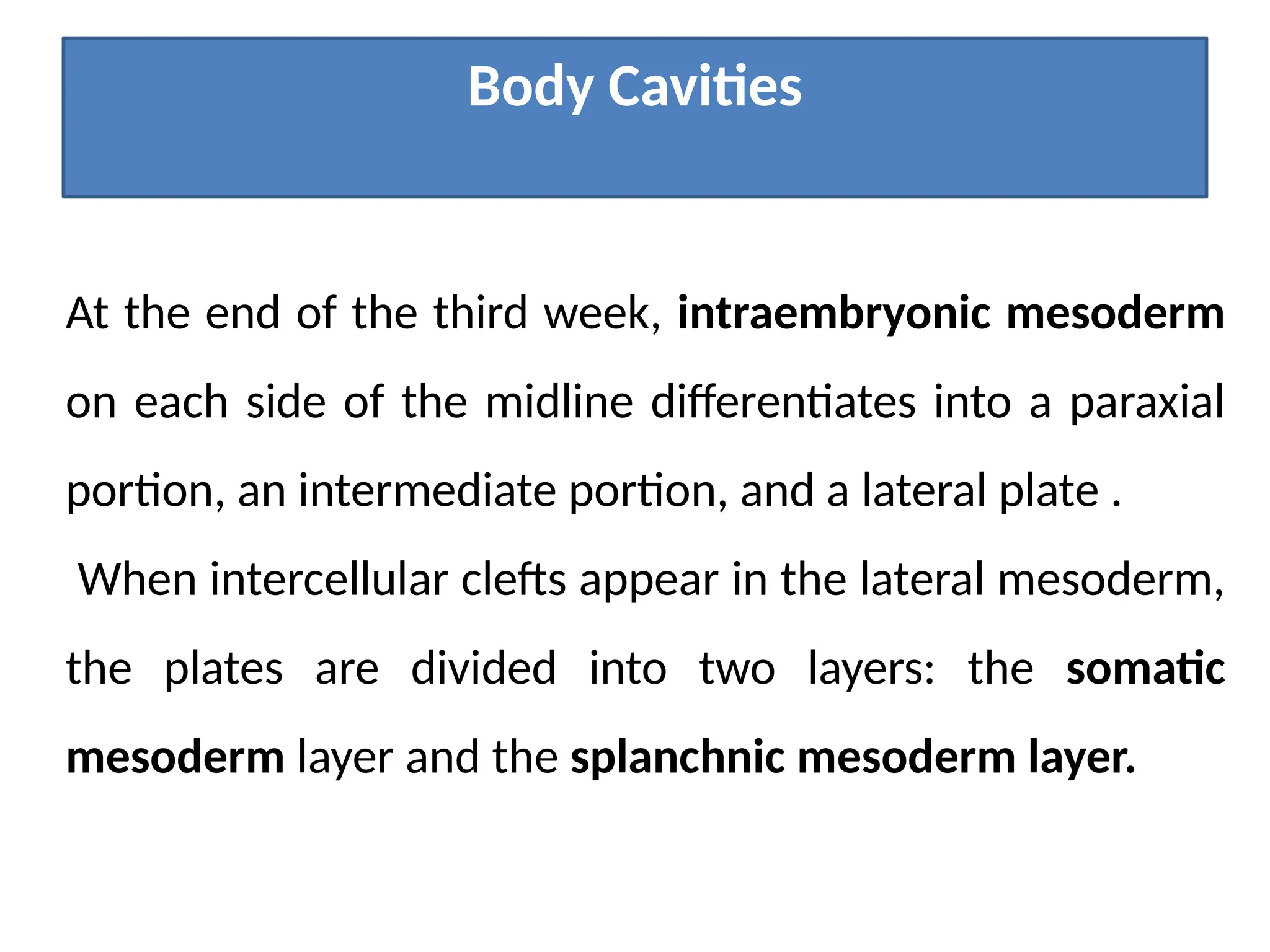 systemic embryology.pptx by Abdullahi Muktar | PPTX