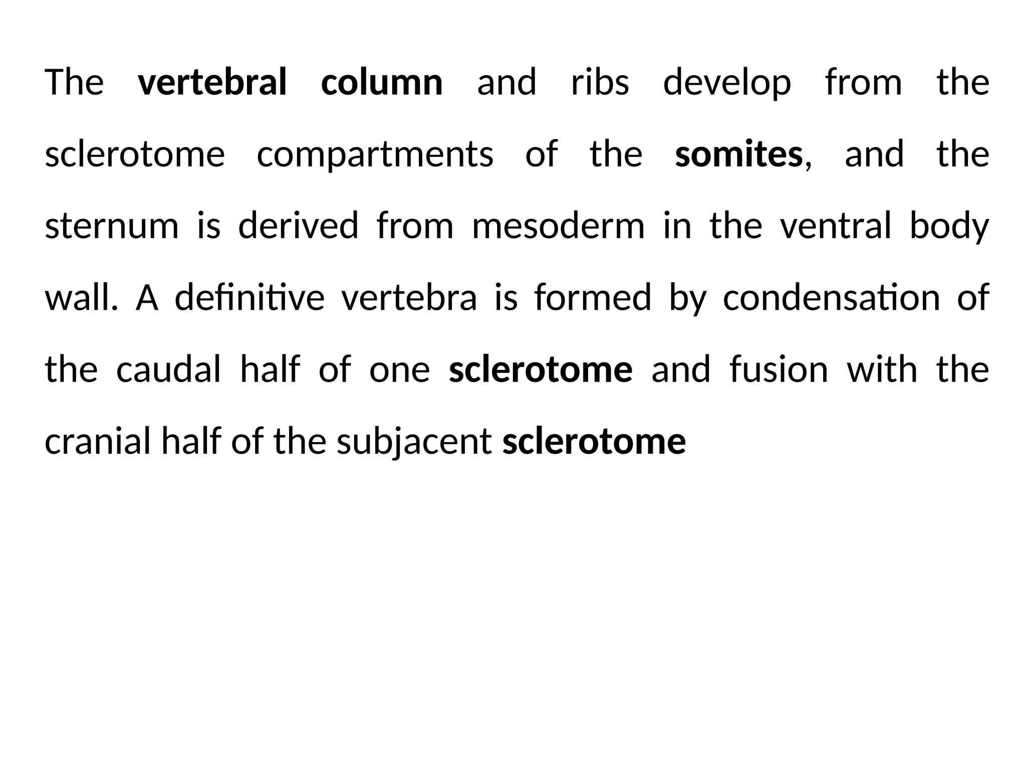 systemic embryology.pptx by Abdullahi Muktar | PPTX