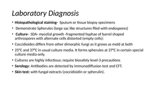 Systemic Fungal Infections and its dideases | PPTX