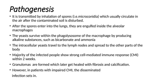 Systemic Fungal Infections and its dideases | PPTX